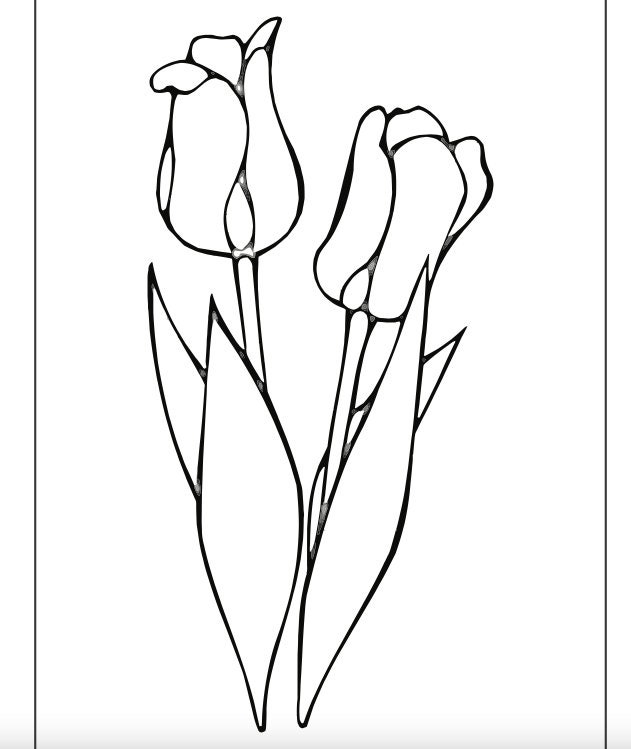 Beautiful Spring Tulips Coloring Activity for Kids 5-10 Y/o (20 Pages ...