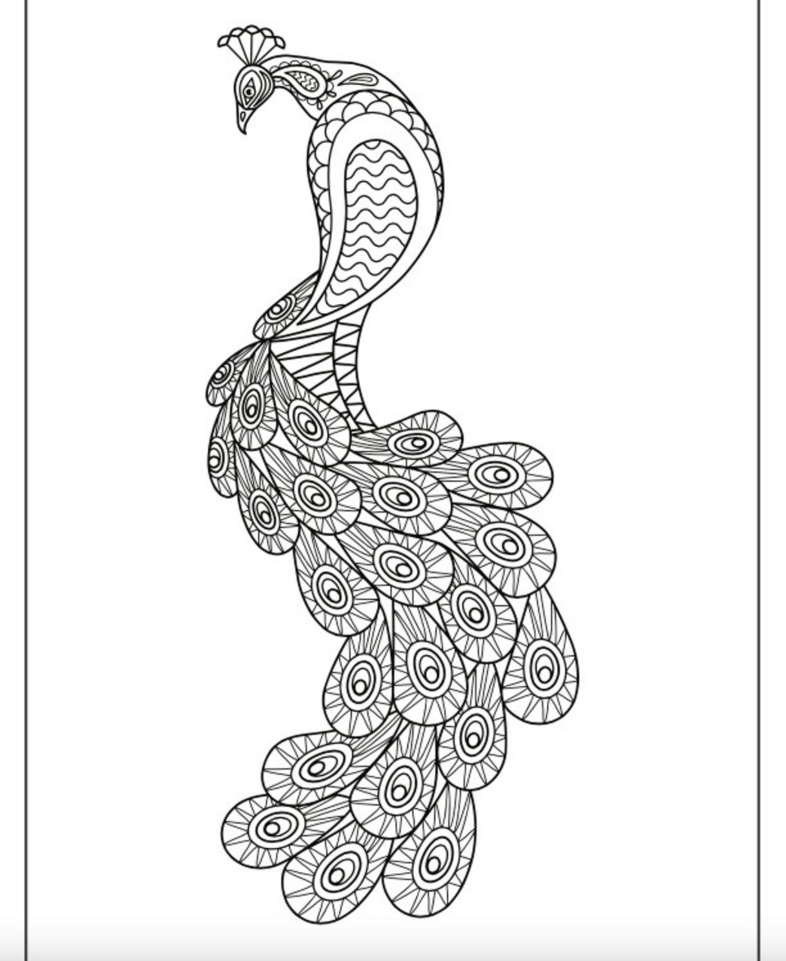 Fancy Detailed Peacock Coloring Pages for Kids 7-12 Y/o (20 Pages ...