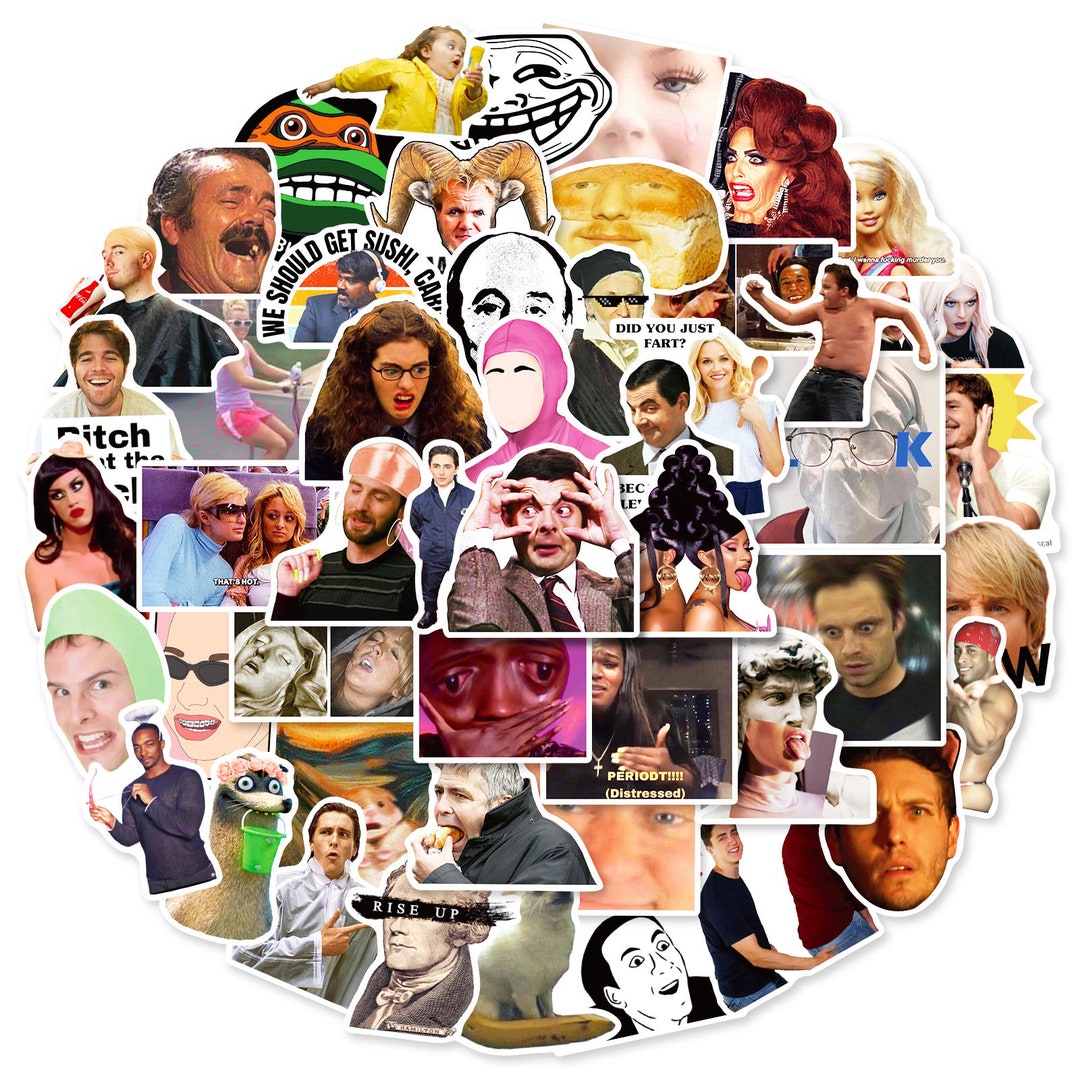 50 Pcs Internet Funny Meme Stickers Pack for Laptop, Trendy Vinyl ...