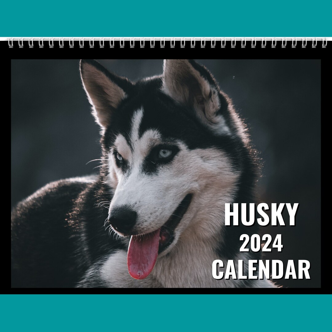 Husky Calendar 2024 Gift Idea for Husky Lovers Wall Calendar Present ...
