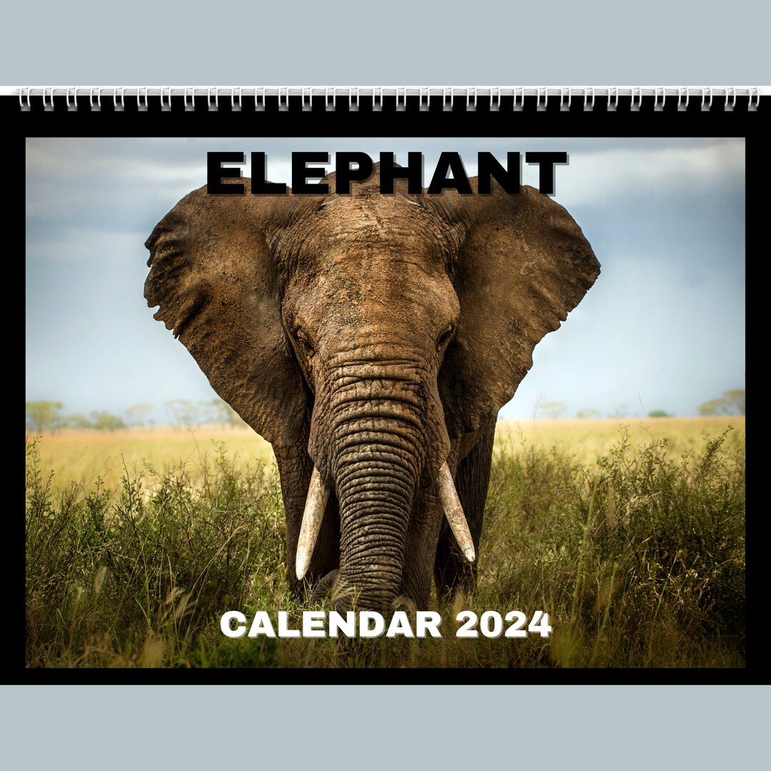 Elephant Calendar 2024 Gift Idea for Elephant Lovers - Etsy