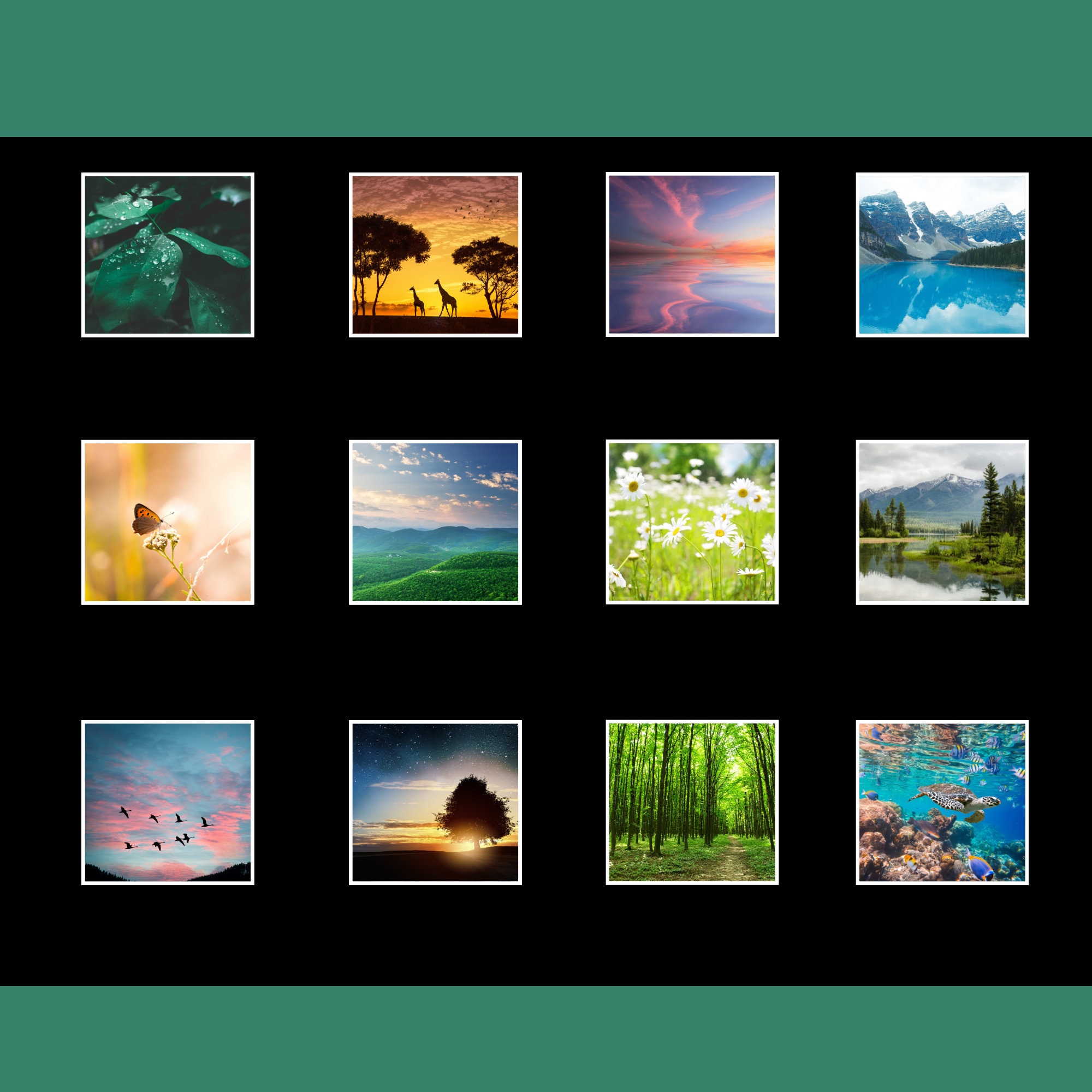 Nature Calendar 2024 Gift Idea for Nature Lovers Nature Wall Calendar ...