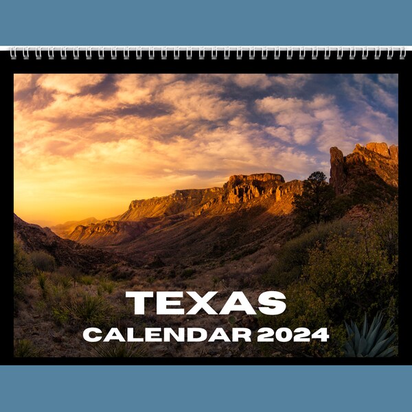 2024 Printable Cat Calendar Landscape Minimalist Monthly Calendar 2024 ...