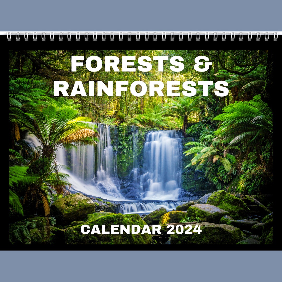 Forests and Rainforests Calendar 2024 Gift Idea for Forests Rainforests ...