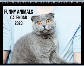 2023 Funny Wall Calendar - Etsy
