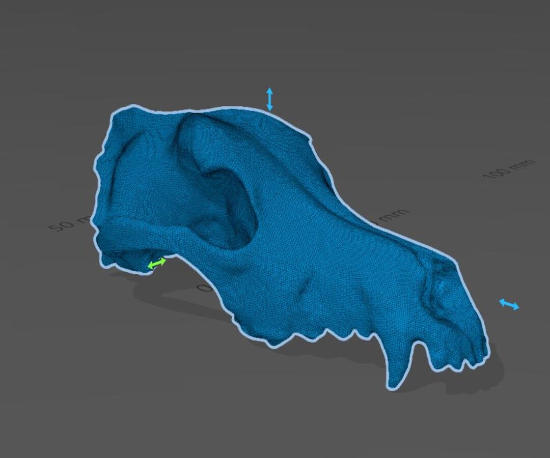 Dog Skull 3d Model Halloween, Decor, Accessories .stl - Etsy