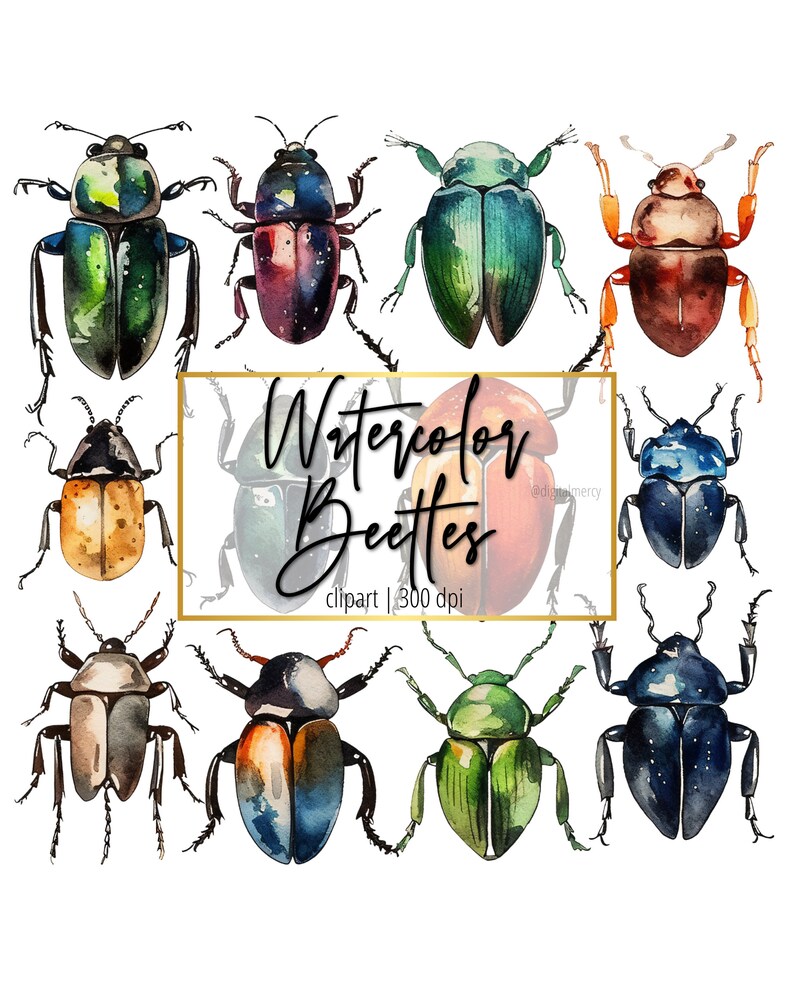 Watercolor Beetles Clipart, Bugs, Insects, Entomology, Nature, PNG ...