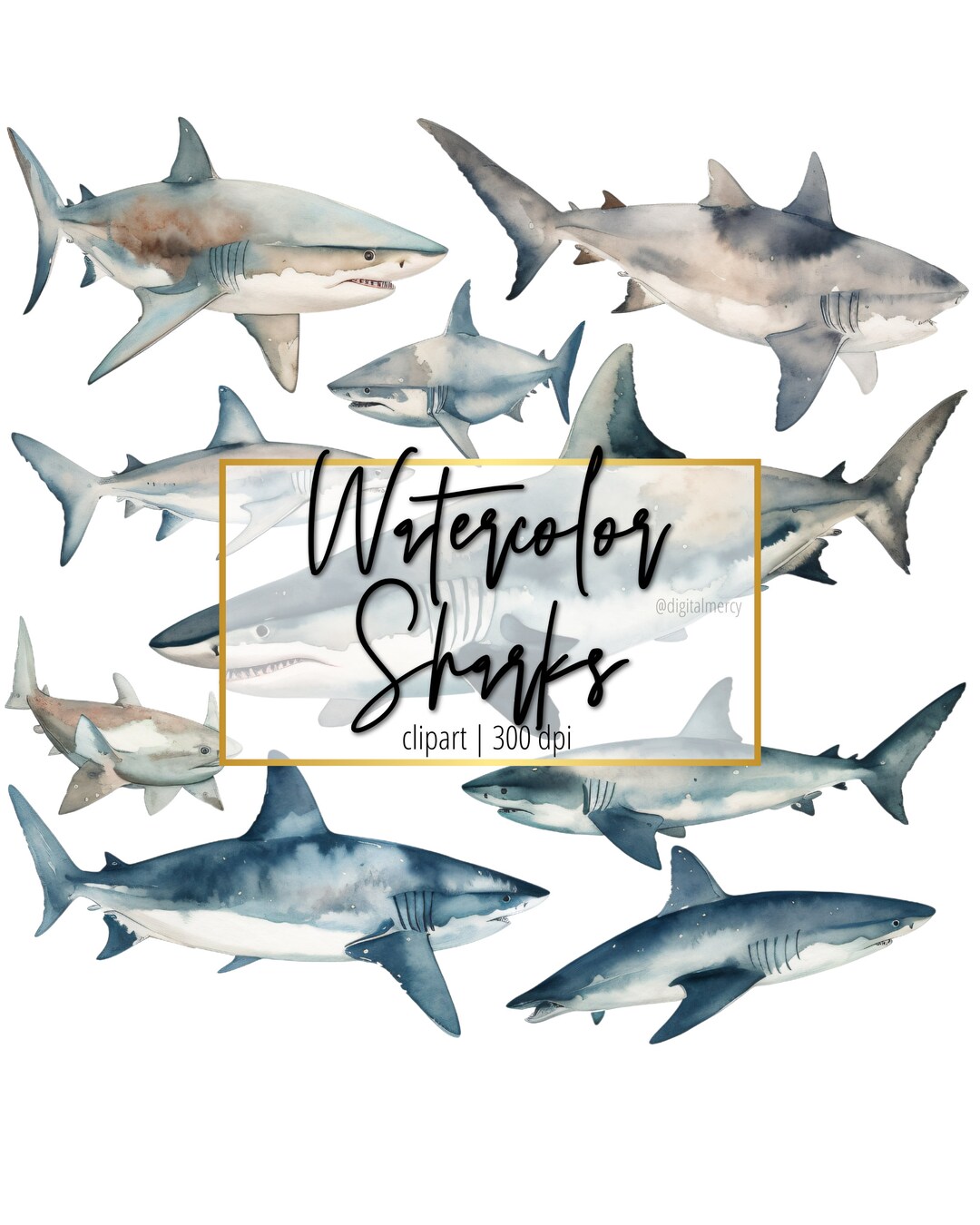 Watercolor Sharks Clipart, Great White Shark, Animals, Fish, PNG, Clip ...