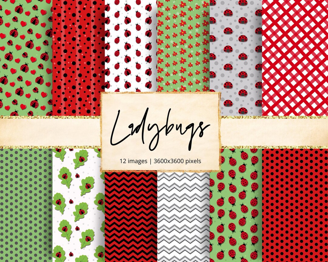 Ladybugs Digital Paper, Beetle, Insect, Bugs, Spots, Pest, Ladybug ...