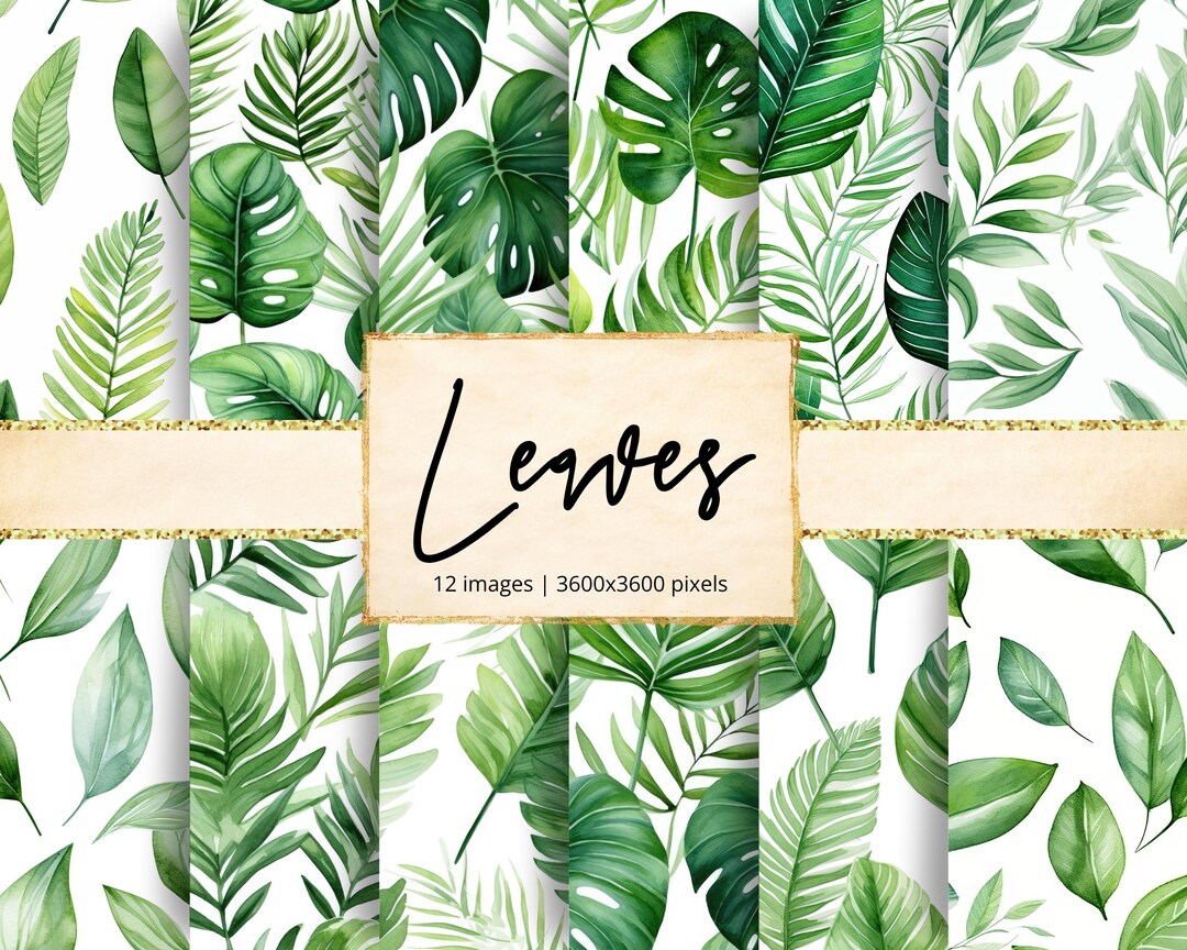 Tropical Leaves Digital Paper, Green, Monstera, Palm, Banana, Fern ...