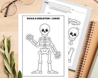 Skeletal System Project - Etsy