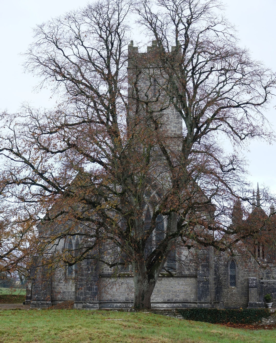 Autumn Cathedral in Ireland - Portrait Orientation - Digital Image ...
