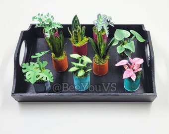 Miniature Plants | Etsy