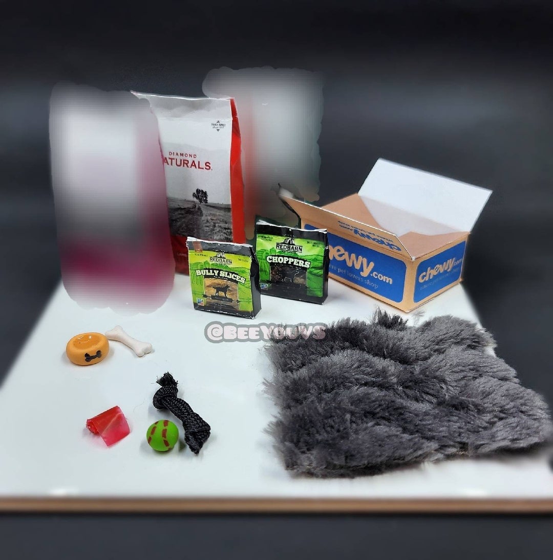 Miniature Dog Subscription Chewy Box Including Miniature Dog Toys Mini ...