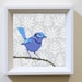 Splendid Wren Cross Stitch Pattern, Australian Bird, Blue Fairy Wren ...