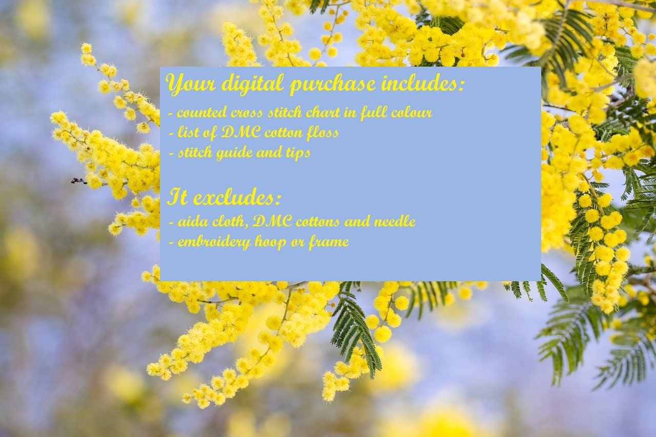 Sturt's Desert Pea Cross Stitch Pattern PDF Download - Etsy Australia