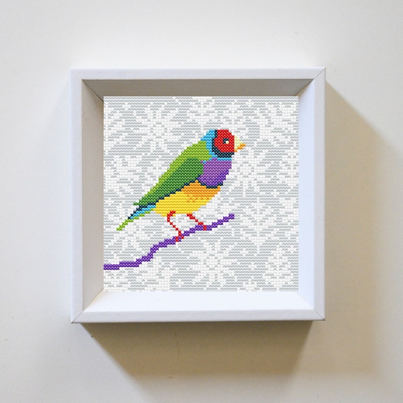 Gouldian Finch Cross Stitch Pattern, Australian Bird, Small Bird, PDF ...