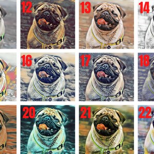 Custom Pet Portraits, Artistic Pet Designs,personalized Pet Gift Ideas ...