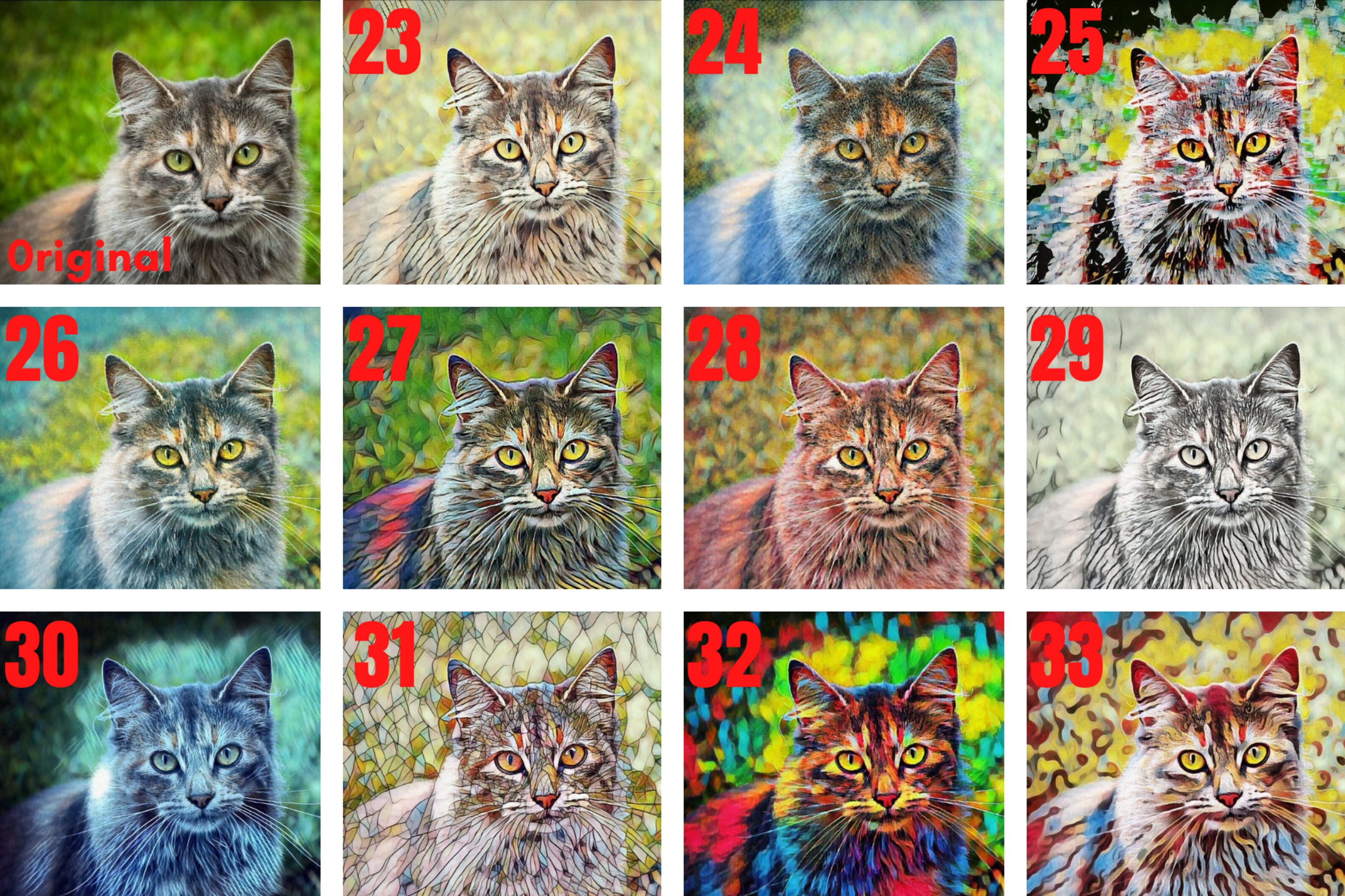 Custom Pet Portraits, Artistic Pet Designs,personalized Pet Gift Ideas ...