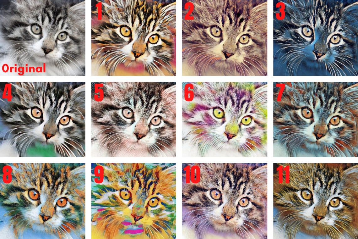 Custom Pet Portraits, Artistic Pet Designs,personalized Pet Gift Ideas ...