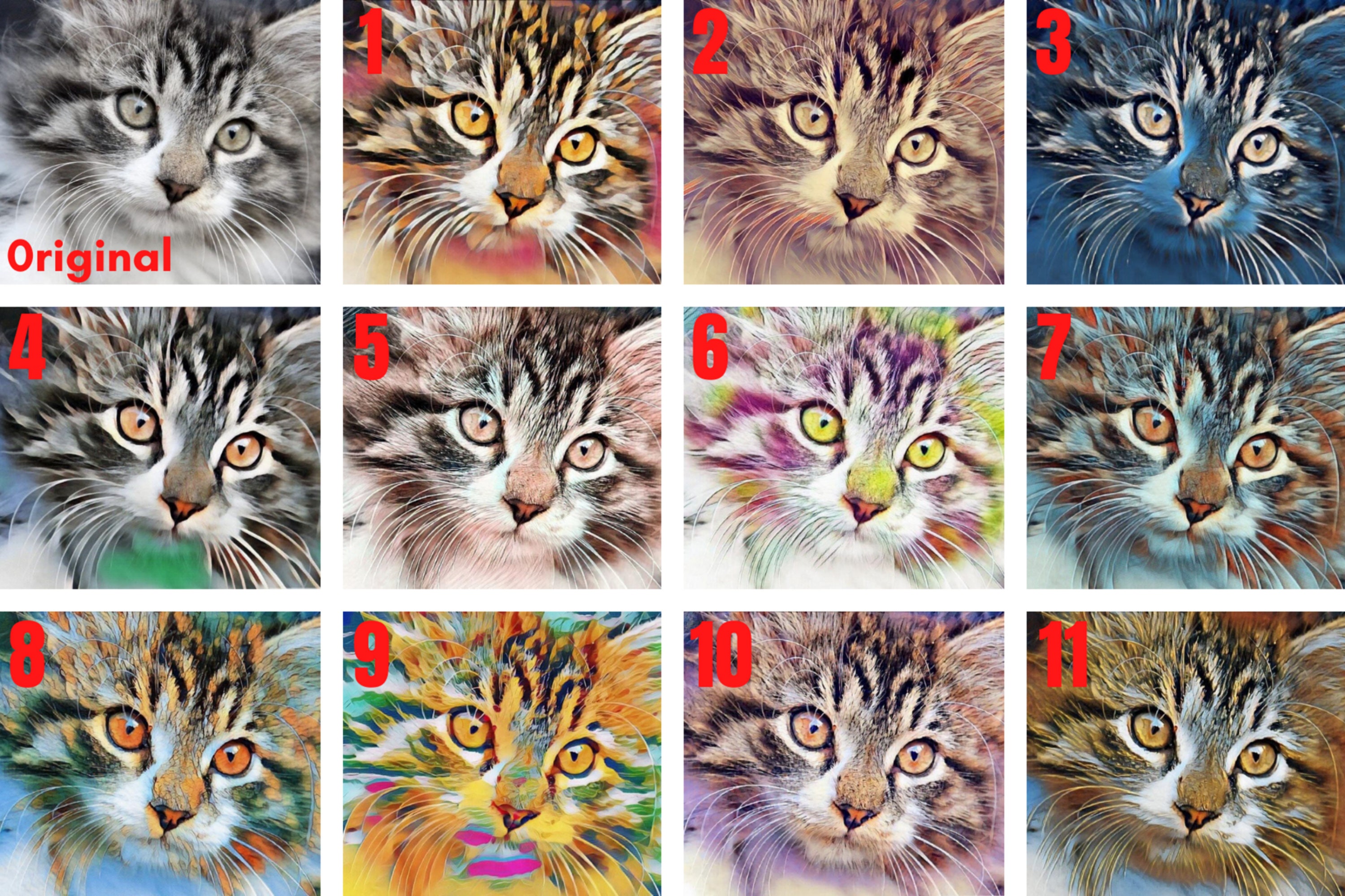 Custom Pet Portraits, Artistic Pet Designs,personalized Pet Gift Ideas ...