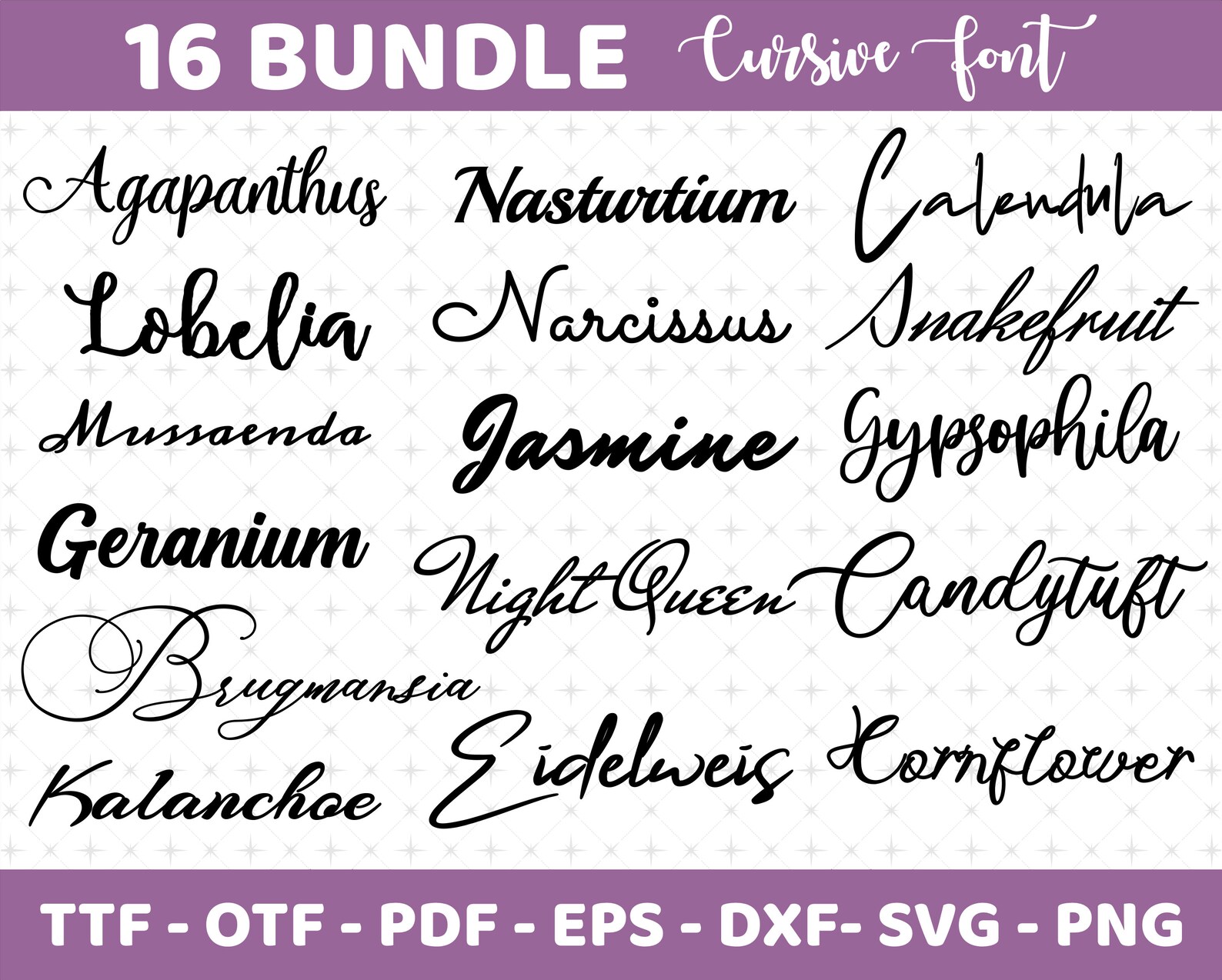 Cursive SVG Font Cursive Font Bundle Cursive SVG Signature Fonts for ...