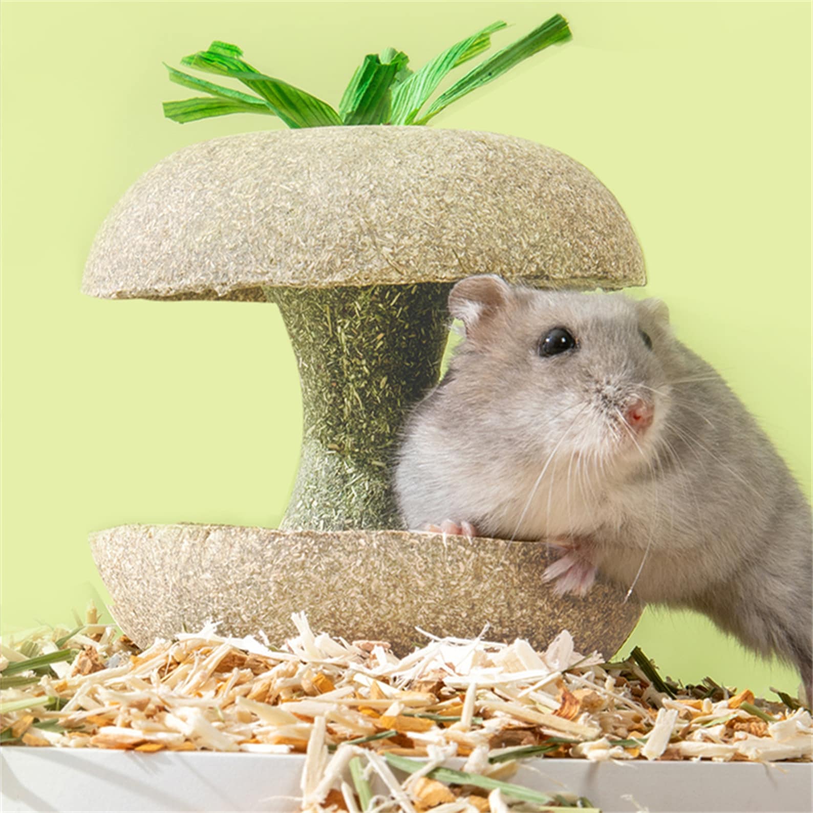 Hamster Chew Toys Hamster Dish Hamster Cage Decor Small - Etsy