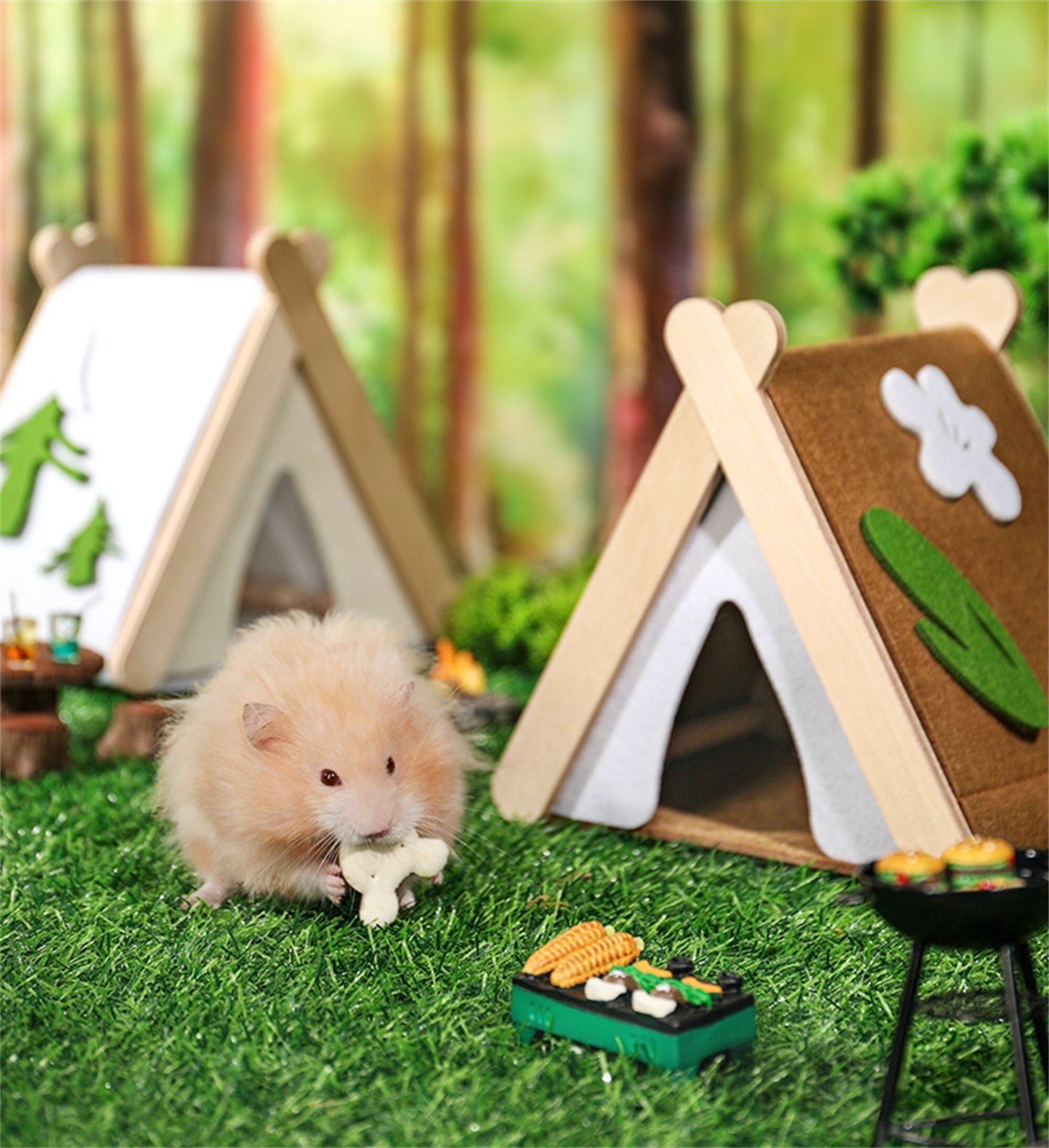 Hamster Toys Diy
