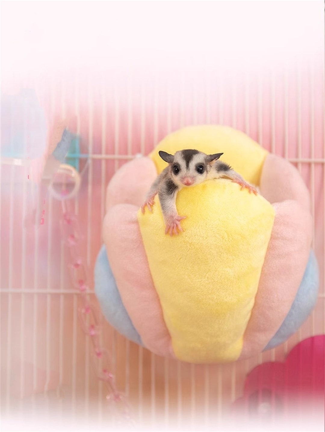 Shell Sugar Glider Cotton Nest,hamster Supplies,small Animals Houses ...