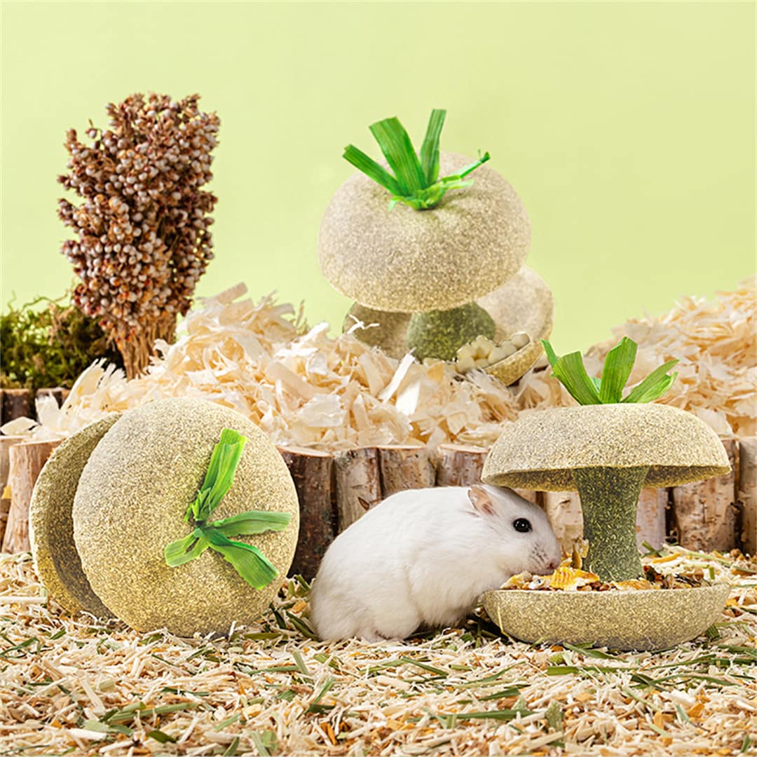 Hamster Chew Toys Hamster Dish Hamster Cage Decor Small Animals Toys ...