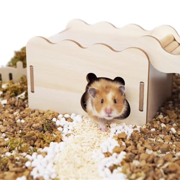 Hamster House - Etsy