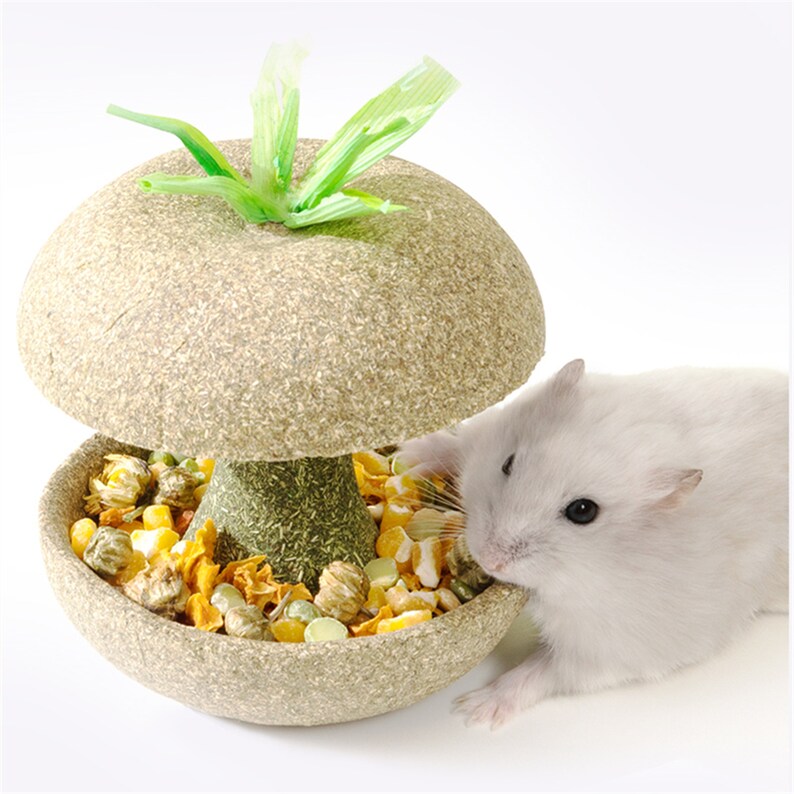 Hamster Chew Toys Hamster Dish Hamster Cage Decor Small - Etsy