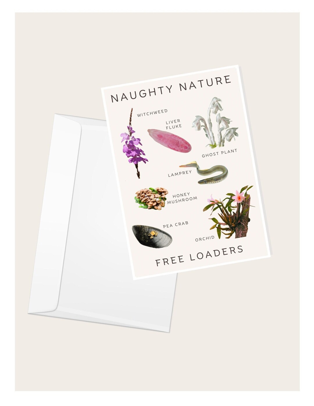 Plants and Animals “naughty Nature: Freeloaders” Greeting Card | Humor ...