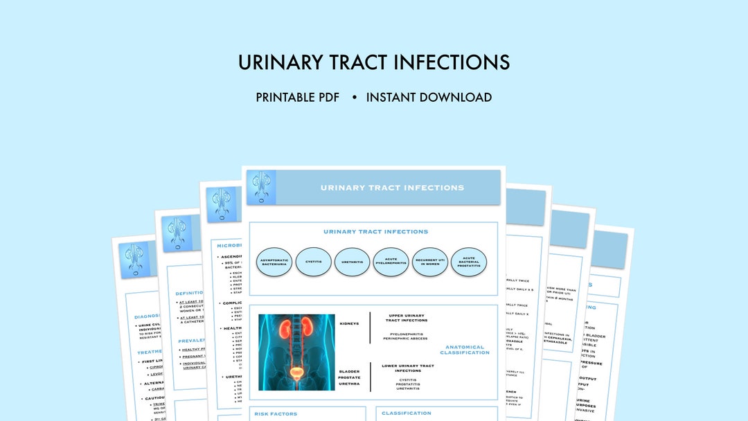 Urinary Tract Infections Informational Guide - Etsy