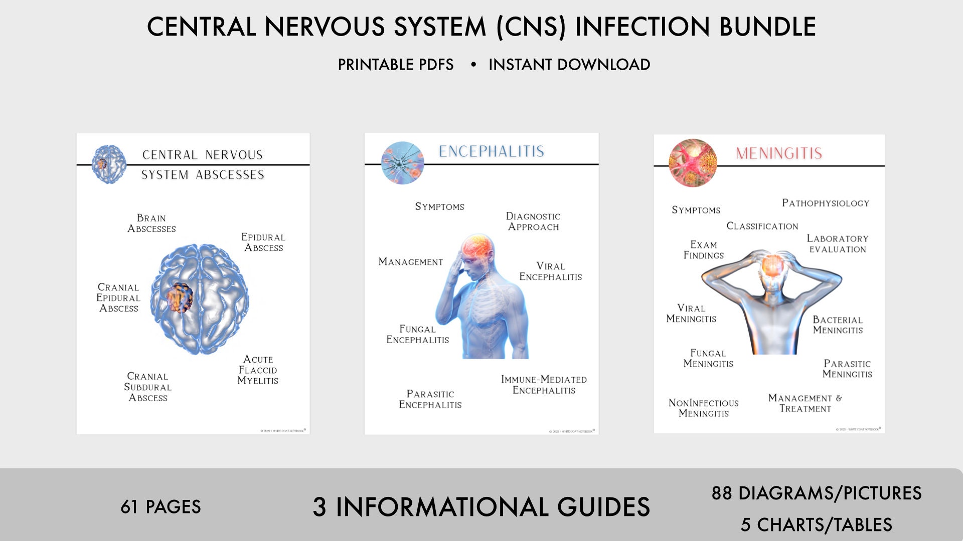 CNS Infection Informational Guide Bundle - Etsy