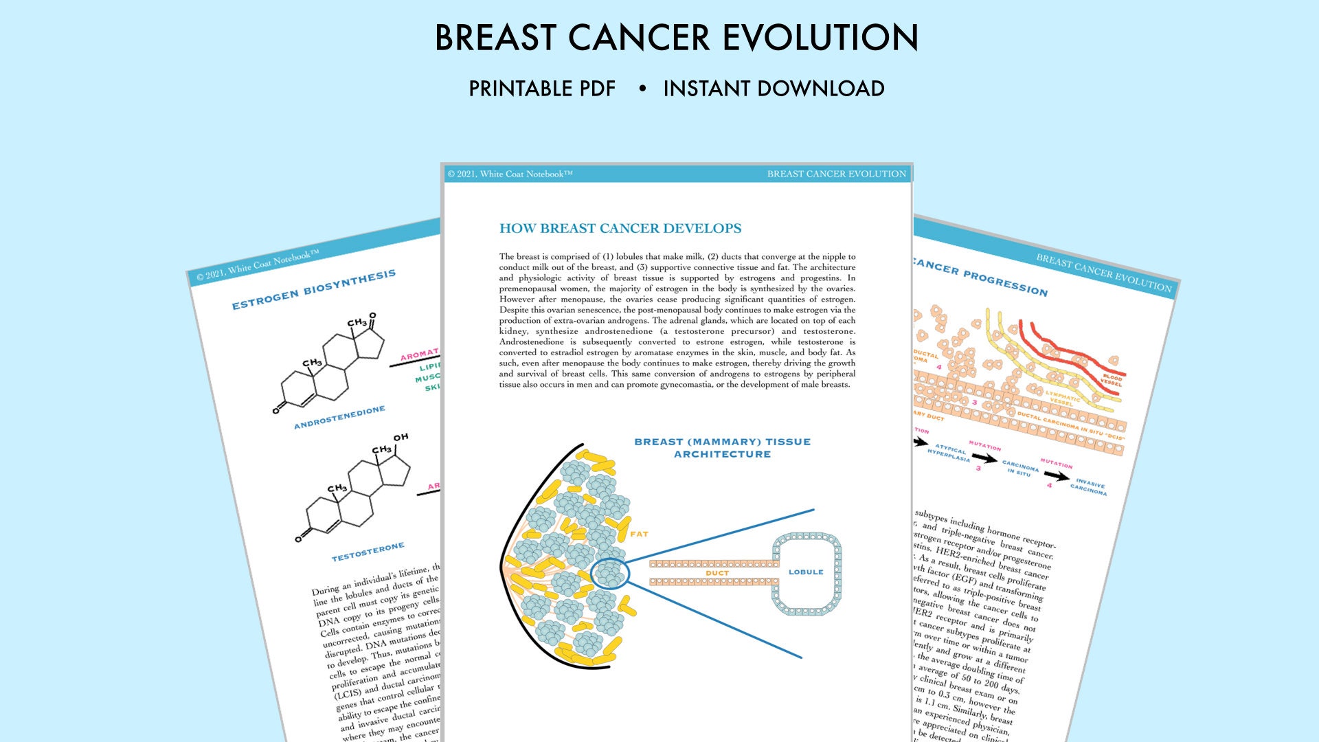 Breast Cancer Evolution Informational Guide | Etsy