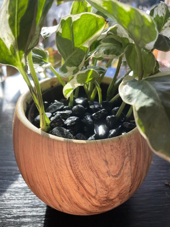 Home Décor Home & Living Moon Cleansed Amethyst Plant Topper etna.com.pe