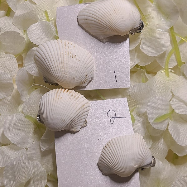 Sea Shell Hair Clips - Etsy