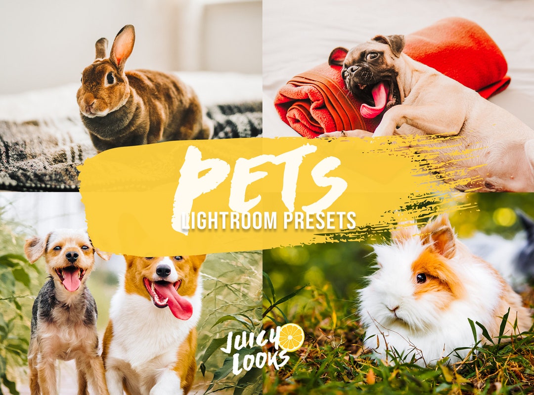 8 Pets Lightroom Presets, Mobile & Desktop, Lightroom Overlay, Animals ...