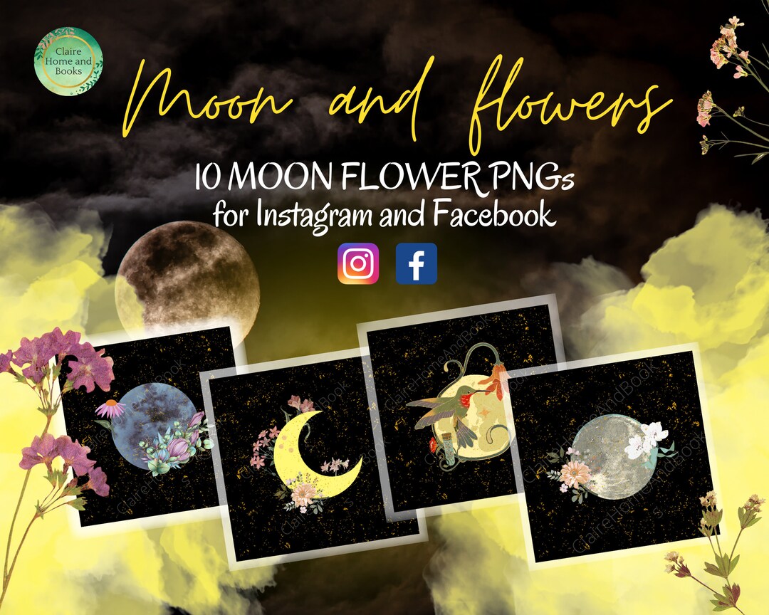 Digital Moon Flowers Instagram PNG Files Backgrounds, Highlight Covers ...