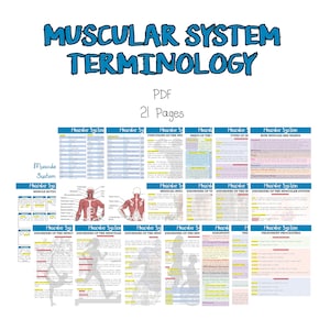 Muscular System Medical Terminology - Etsy