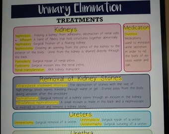 Urinary Tract Infections UTI Cystitis Urethritis Pyelonephritis Nursing ...