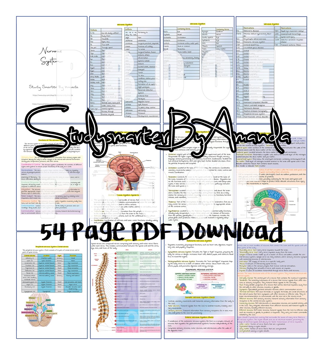Nervous System Medical Terminology - Etsy