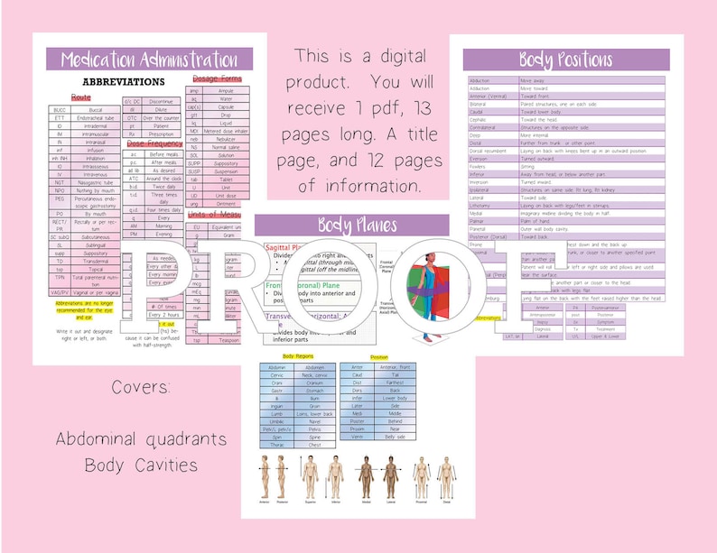 Intro to Medical Terminology Nursing Notes - Etsy