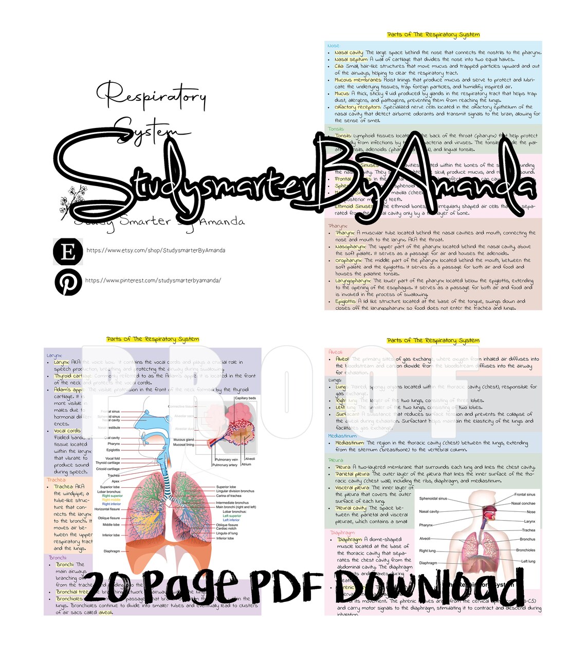 Respiratory System Medical Terminology - Etsy