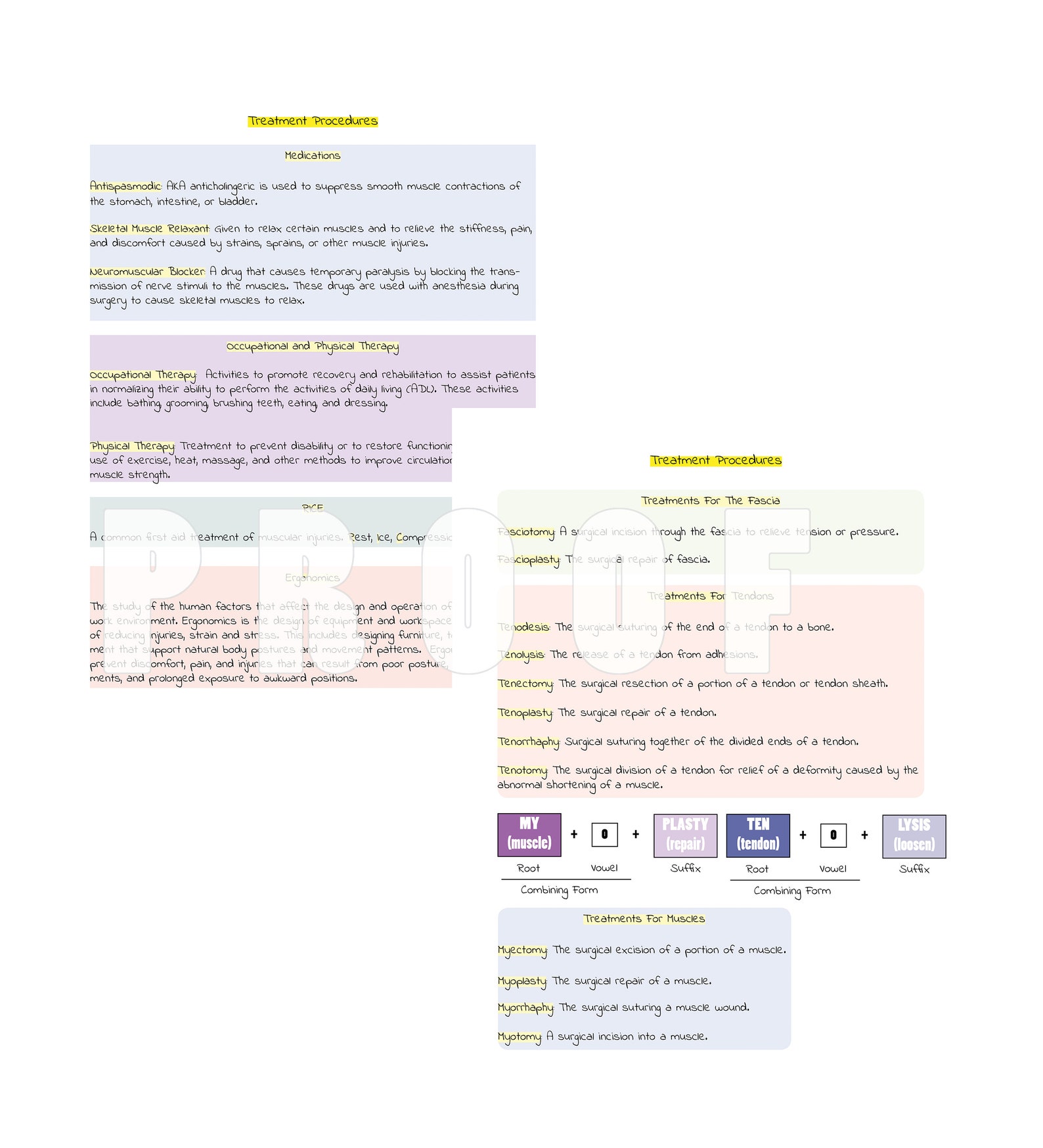 Muscular System Medical Terminology - Etsy