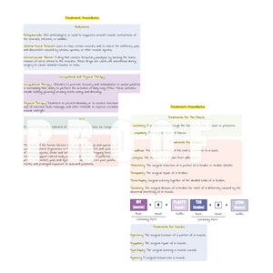 Muscular System Medical Terminology - Etsy