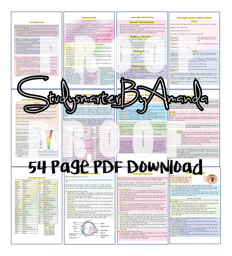 Nervous System Medical Terminology - Etsy