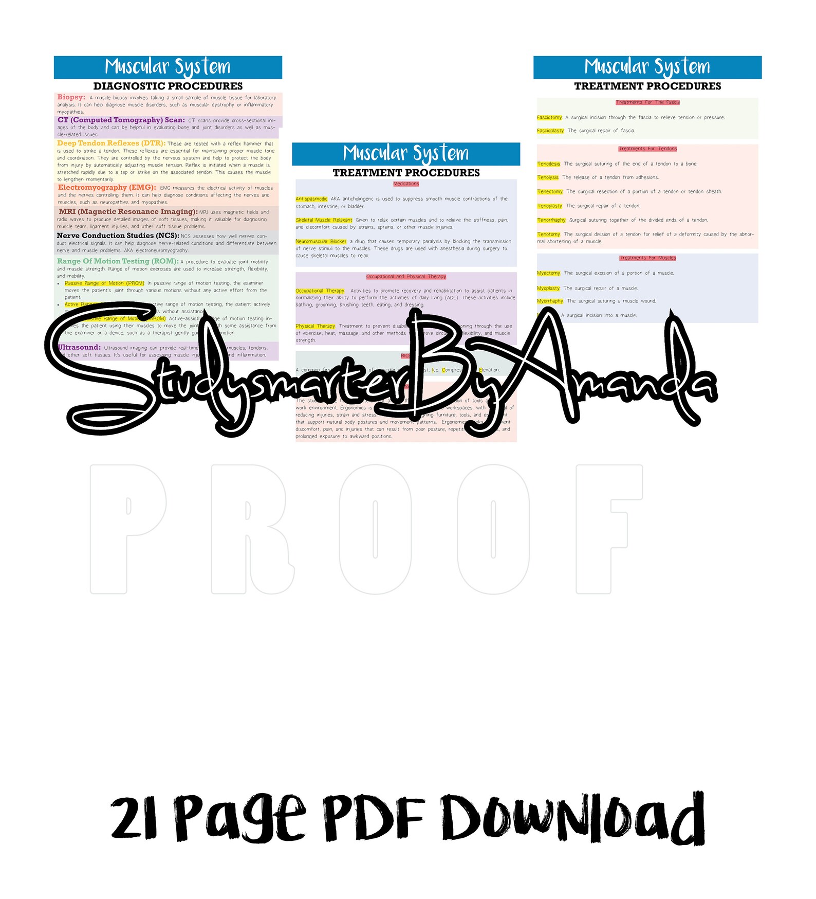 Muscular System Medical Terminology - Etsy