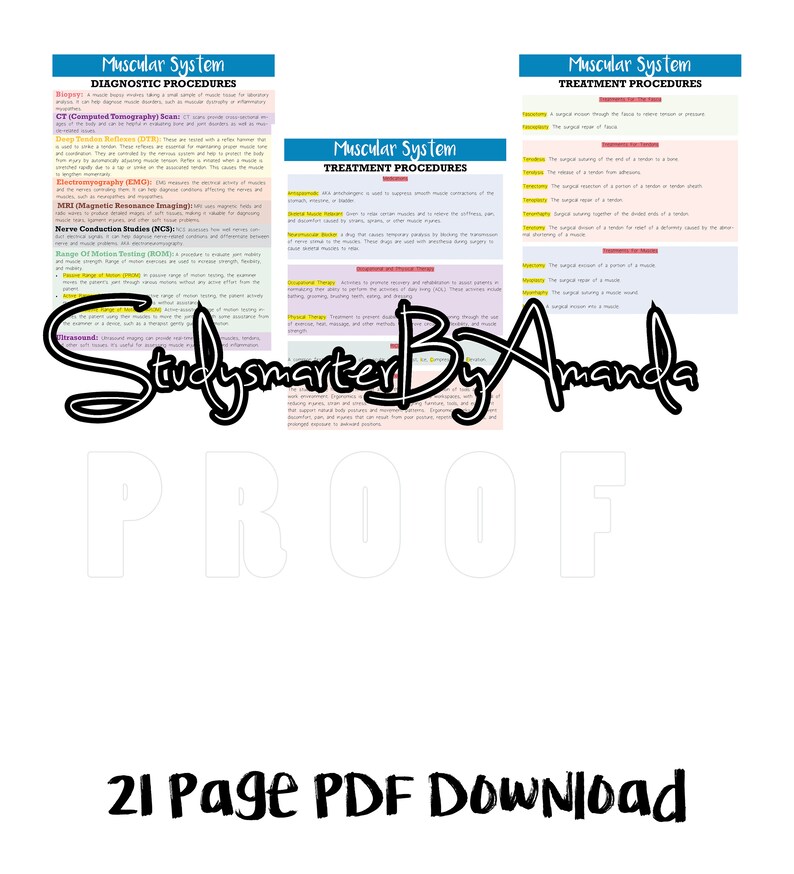 Muscular System Medical Terminology - Etsy